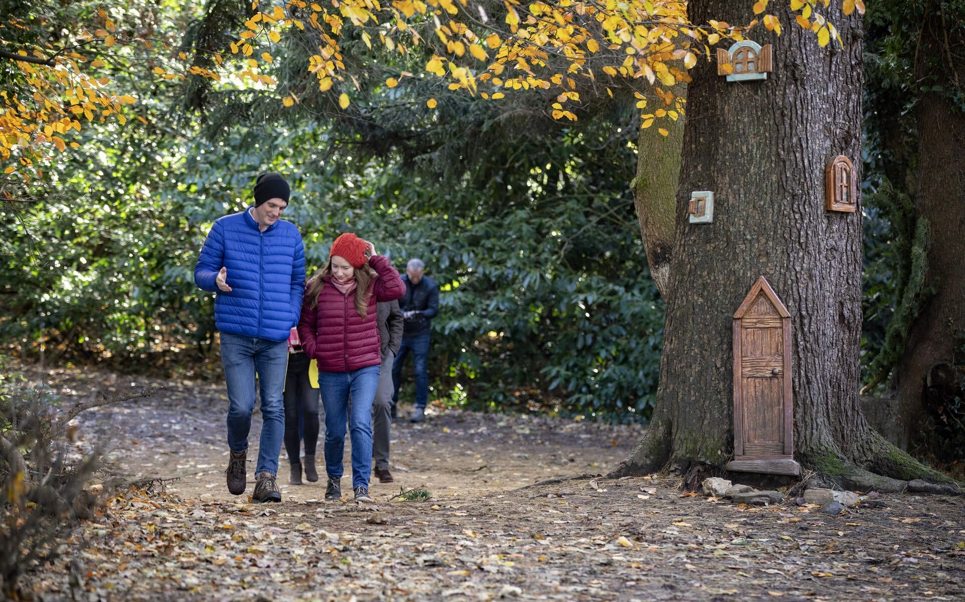 Explore the real-world Narnia in Northern Ireland - Travel Monitor