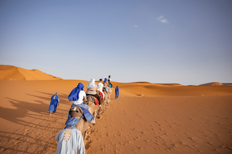 Intrepid Travel reveals trending destinations, new agent support and ...