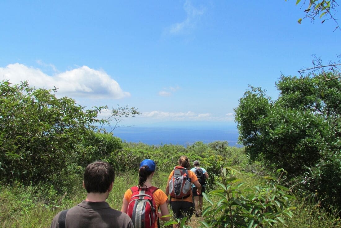 Want to travel with Intrepid for free? - Travel Monitor